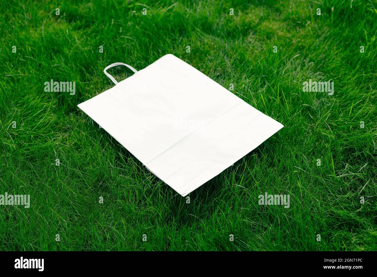 Top view of a frame made of green spring grass and paper craft ...