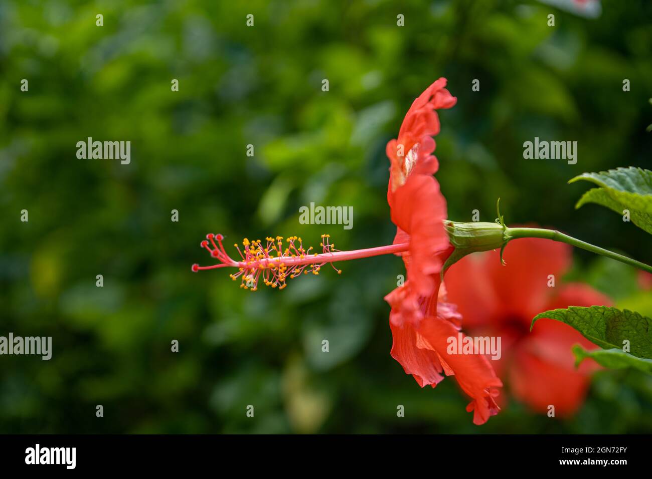 Spring vibe hi-res stock photography and images - Alamy