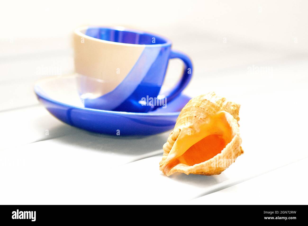 Sea color tea coffee cup and seashell Stock Photo - Alamy