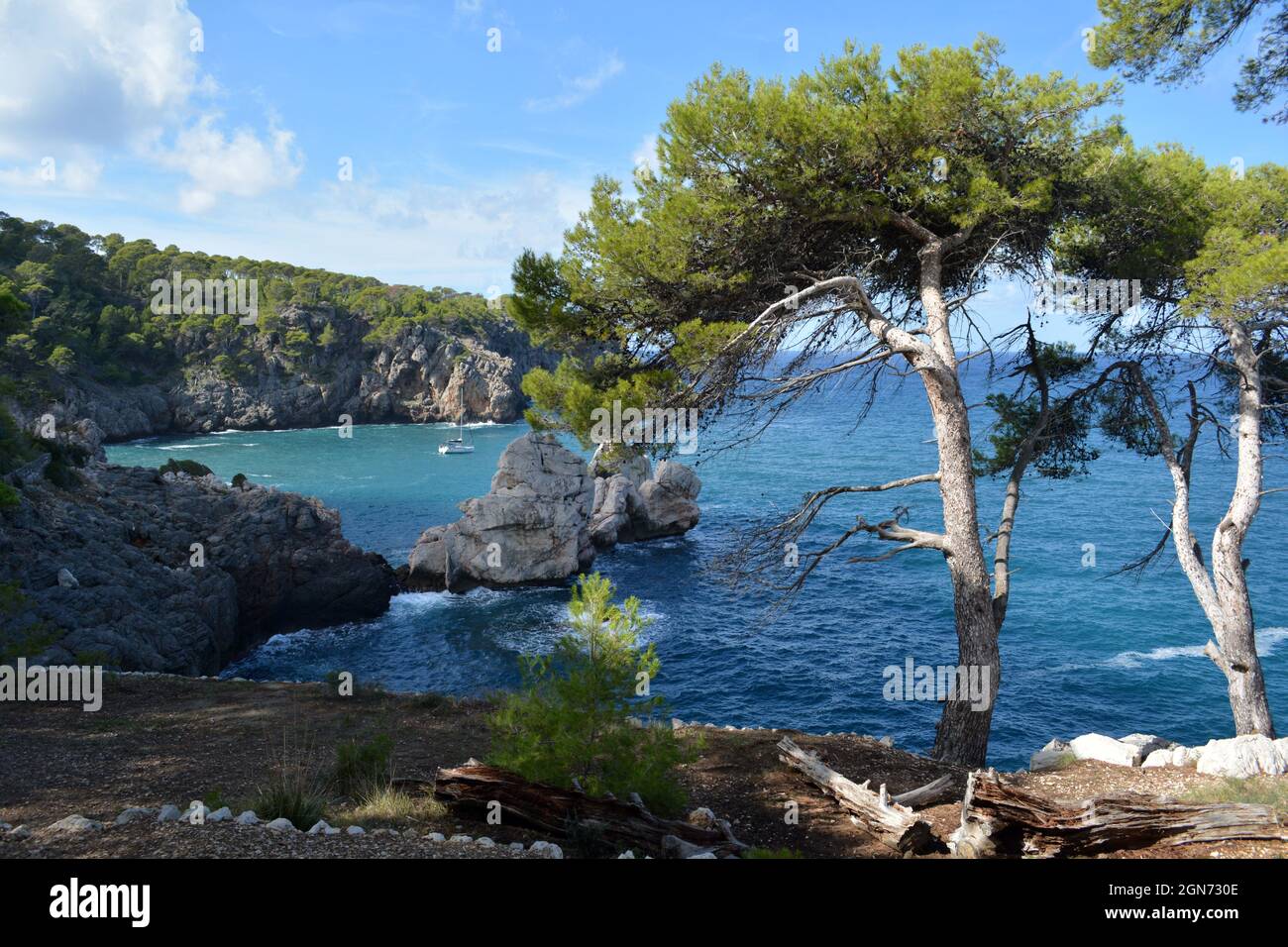On the coast in the northwest of Mallorca near Lluc Alcari between Deia ...