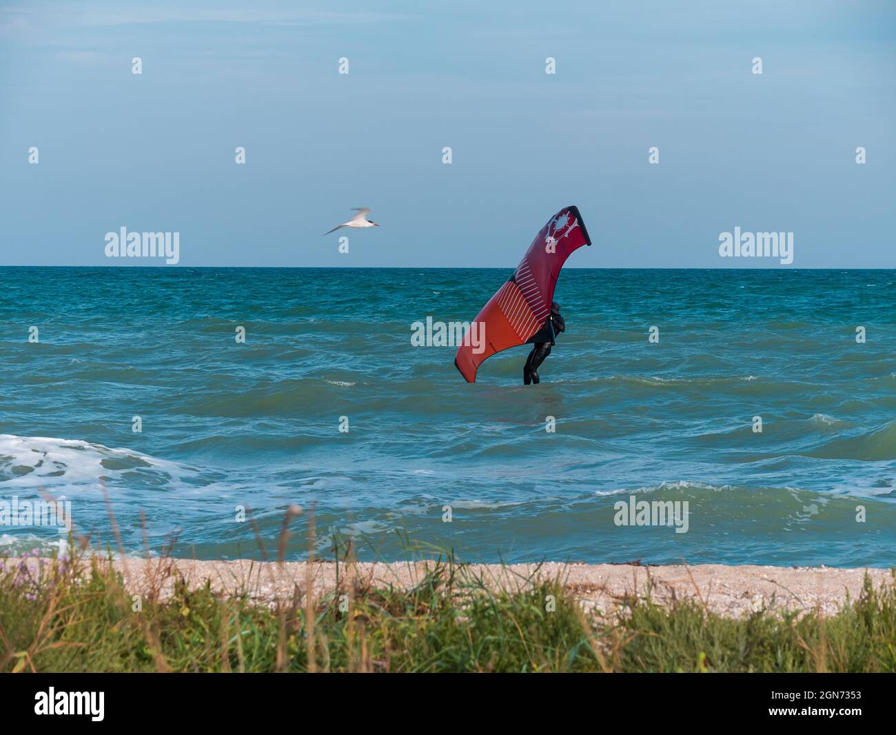 The athlete riding a hydrofoil surfboard using a hand held foil wing on ...