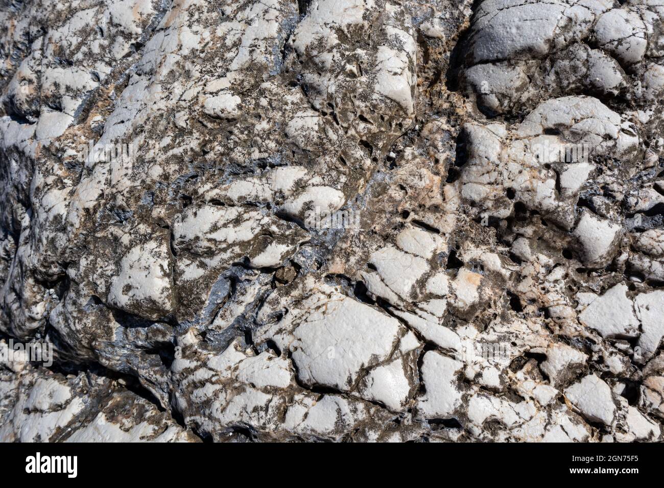 White and black big marble rock material with cracks close-up texture ...