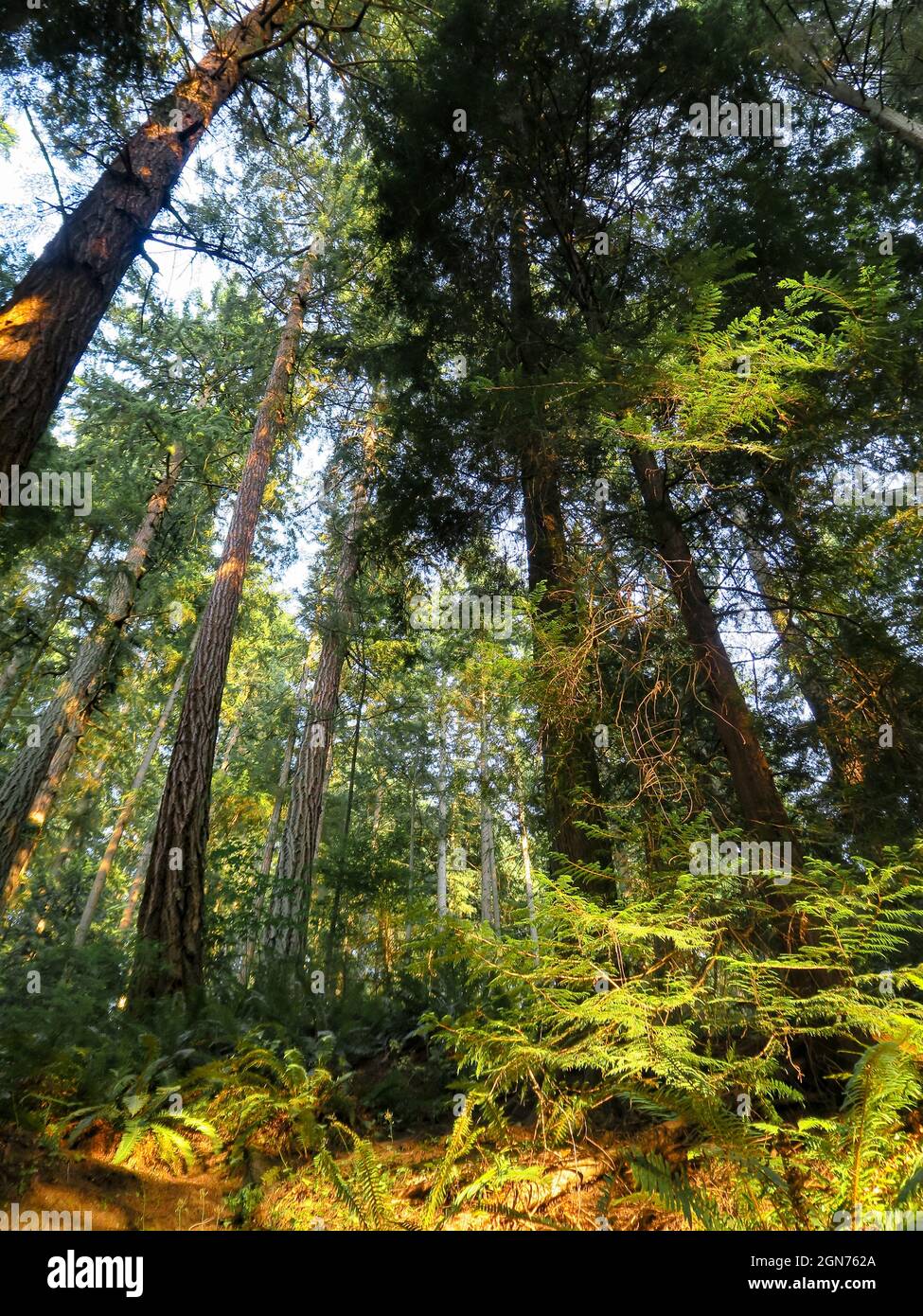 Majestic nature hi-res stock photography and images - Alamy