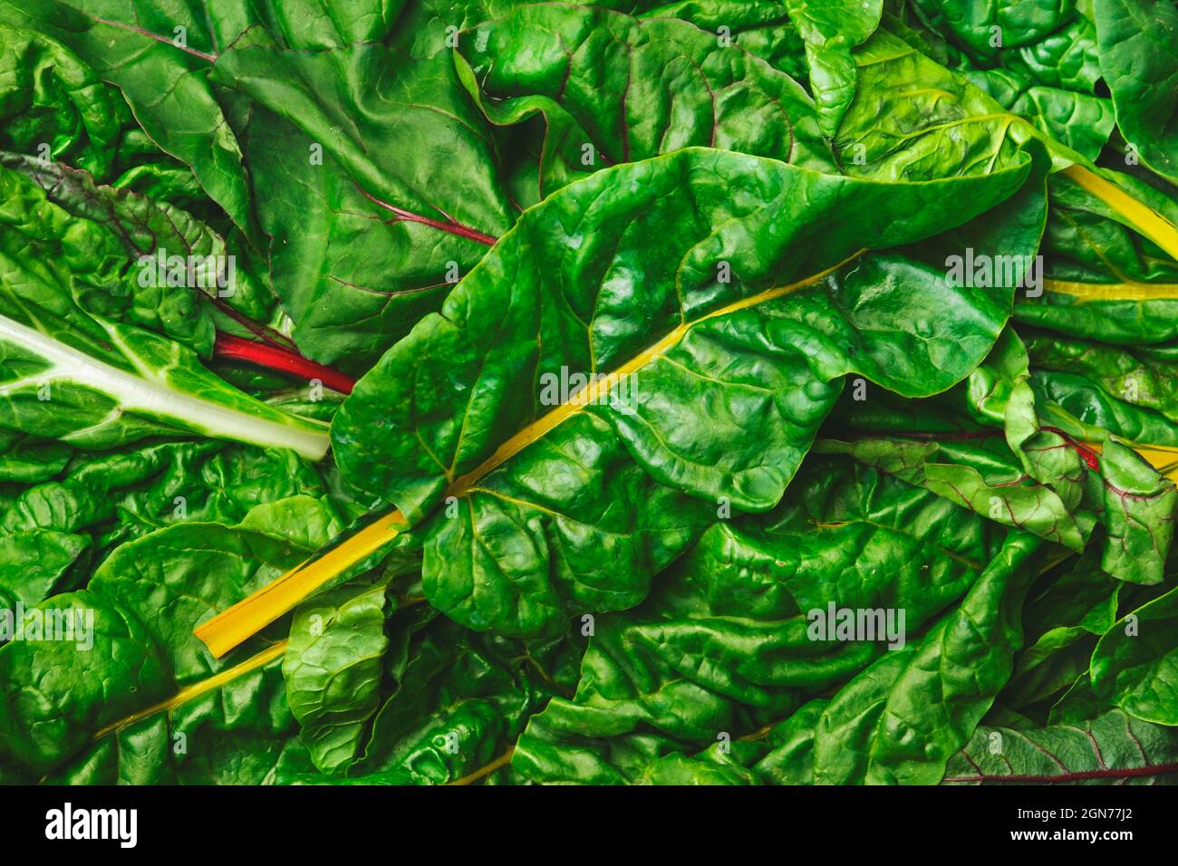 Rainbow swiss chard leaves on rusty background, raw green leaf ...