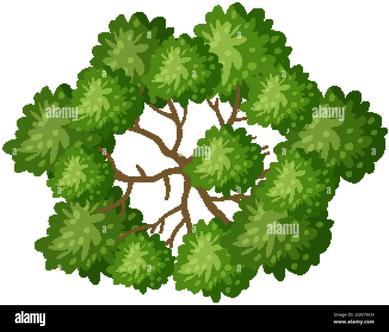 Top view of a tree with branches isolated on white background ...