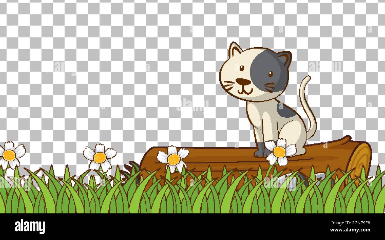 Cat on the grass field on transparent background illustration Stock ...