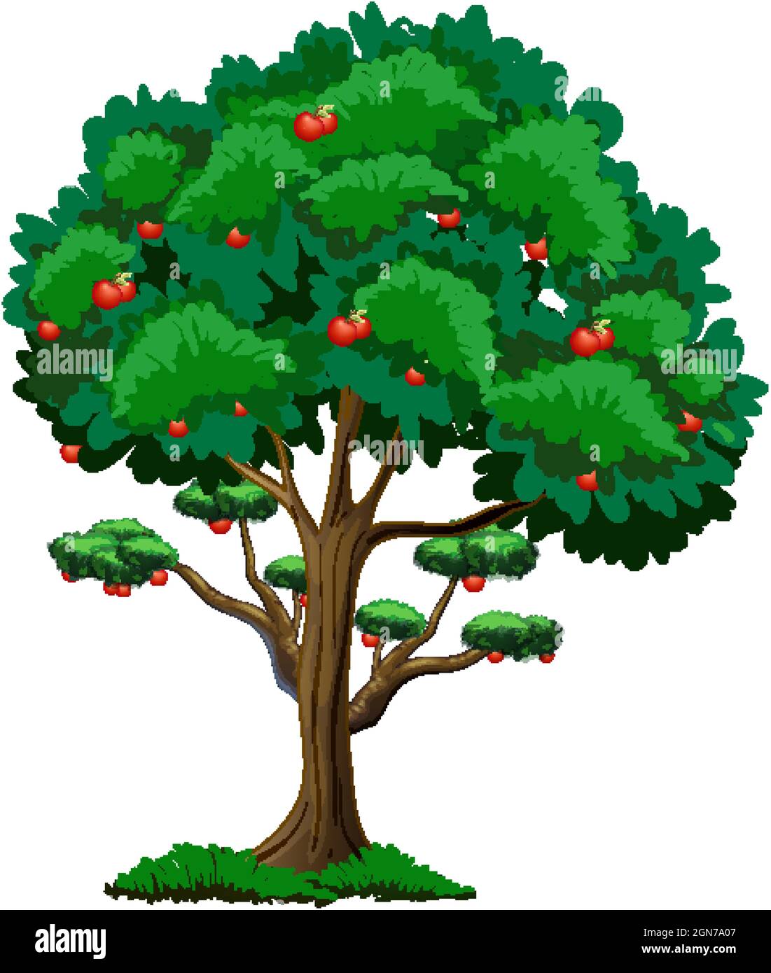Many red apples on a tree isolated on white background illustration ...
