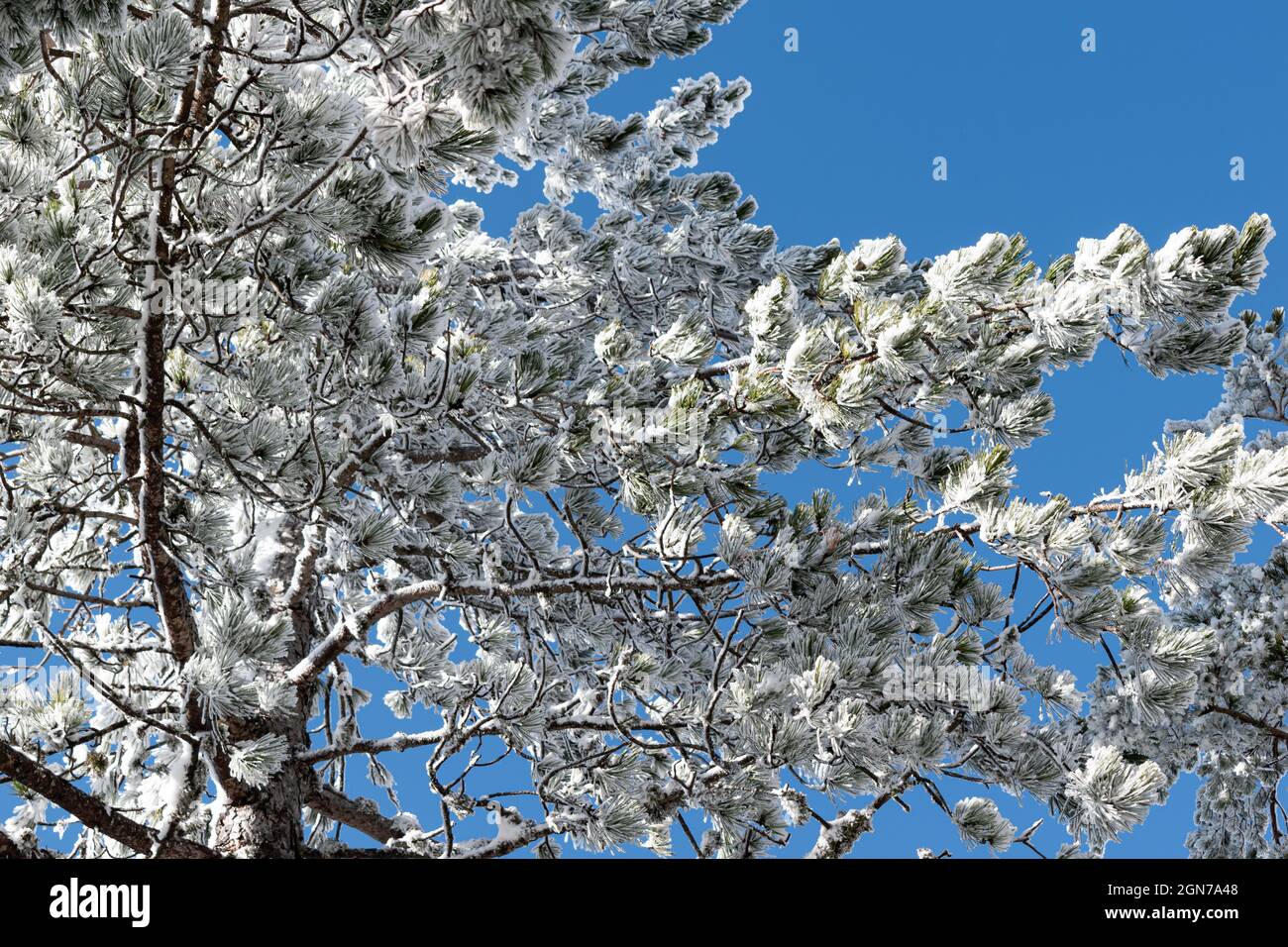 Tornik mountain hi-res stock photography and images - Alamy