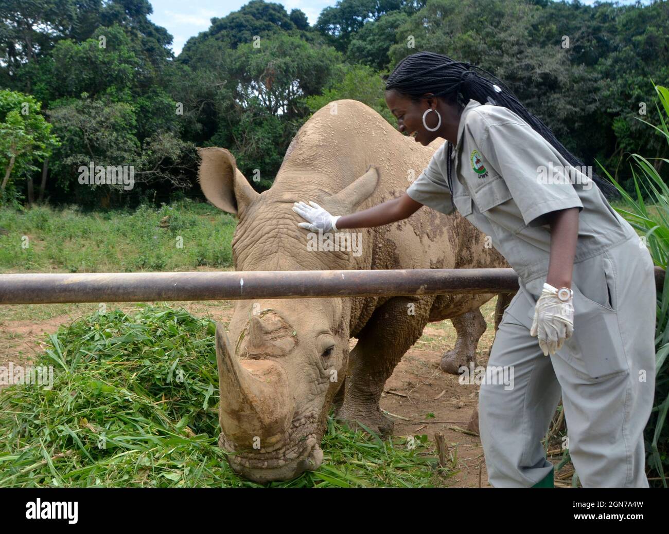 (210923) -- ENTEBBE, Sept. 23, 2021 (Xinhua) -- A visitor pets a white ...