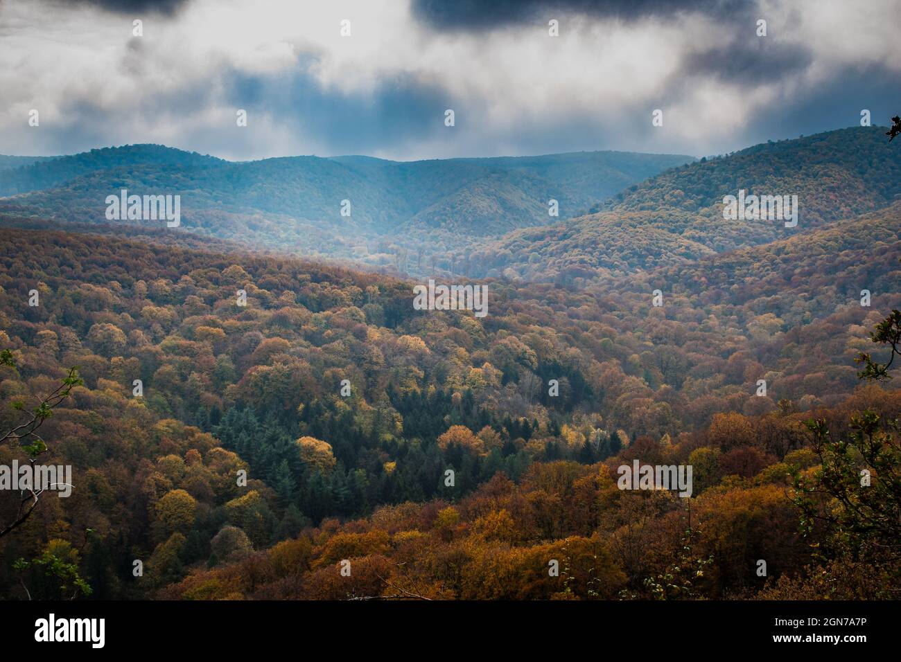 National Park Fruska Gora in Serbia, autumn Stock Photo - Alamy