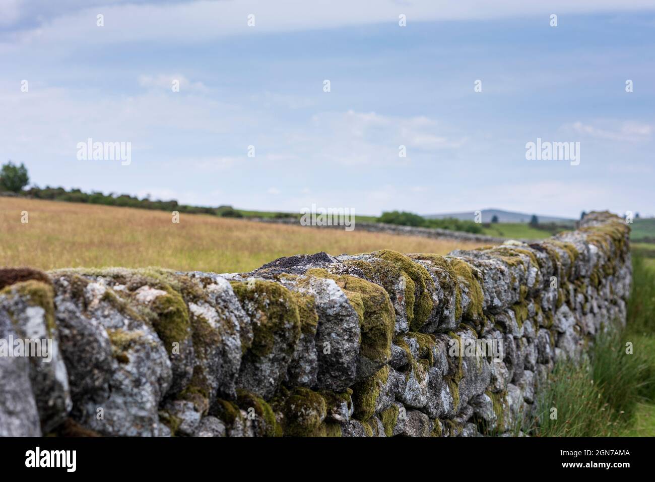 Traditional Dry Stone Wall Dartmoor Devon England Stock Photo - Alamy