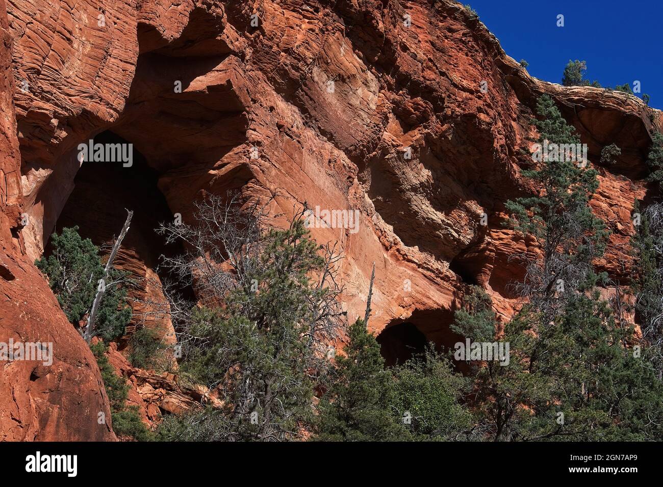 The arches at Soldiers Pass Stock Photo - Alamy