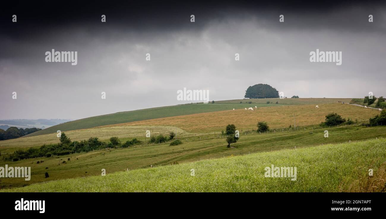 Open countryside near Chalton Shaftesbury Dorset England Stock Photo ...