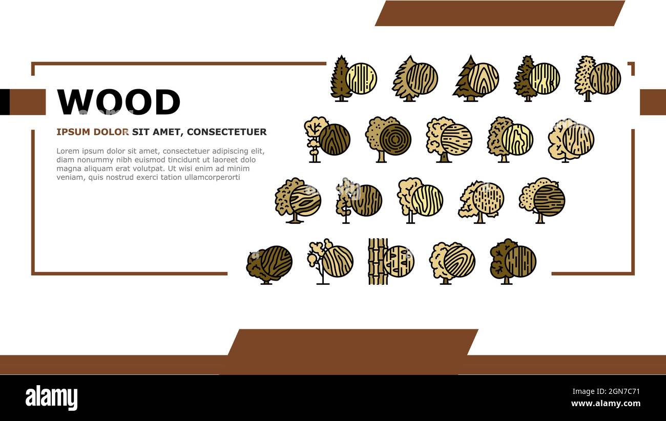 Wood Land Growth Natural Tree Icons Set Vector Stock Vector Image & Art ...
