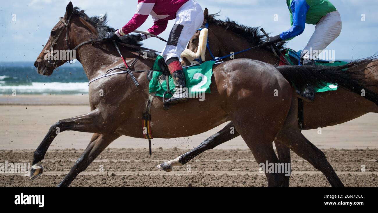 Competing race horses and jockeys sprinting for position Stock Photo ...