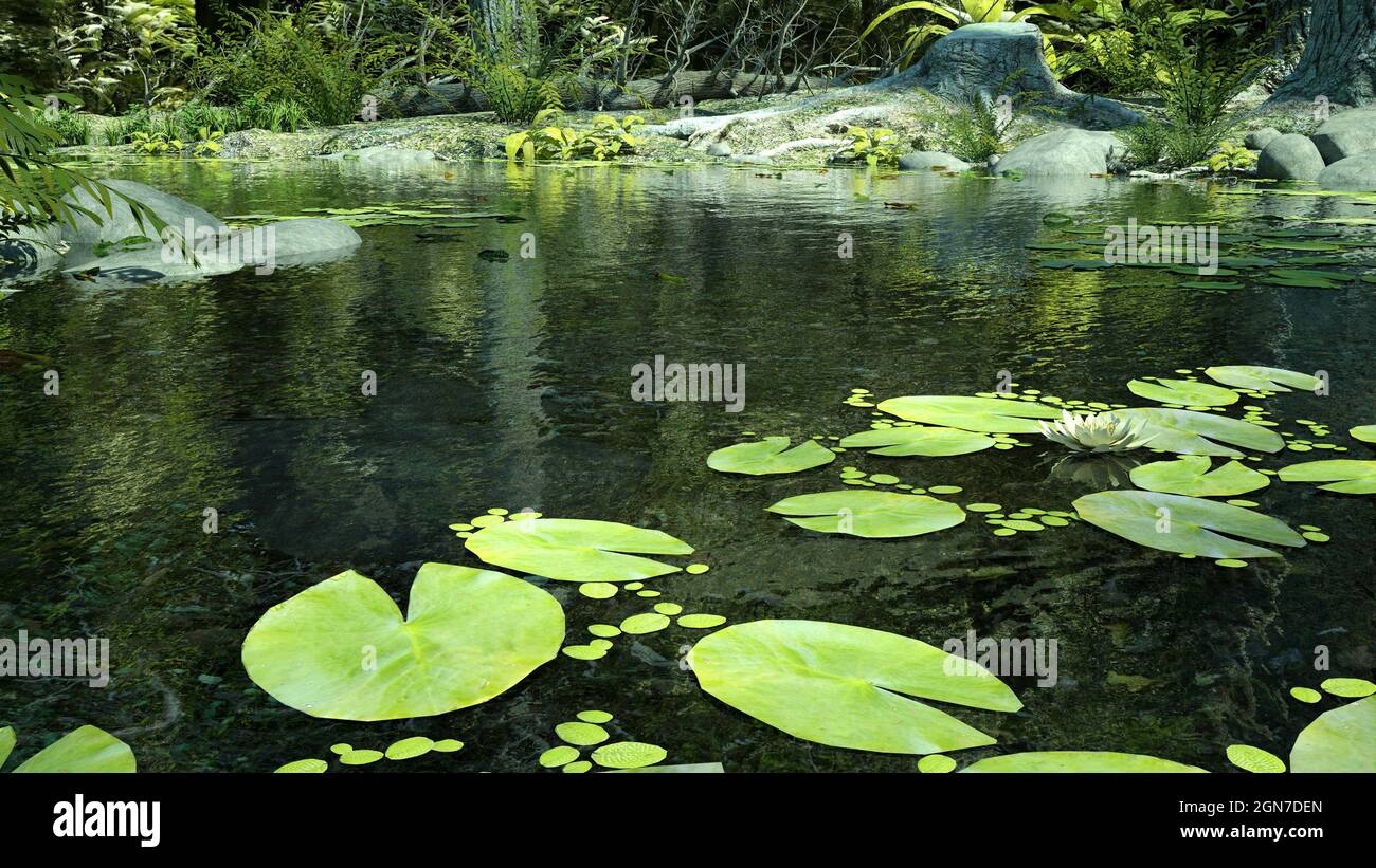 Water lily illustration hi-res stock photography and images - Alamy
