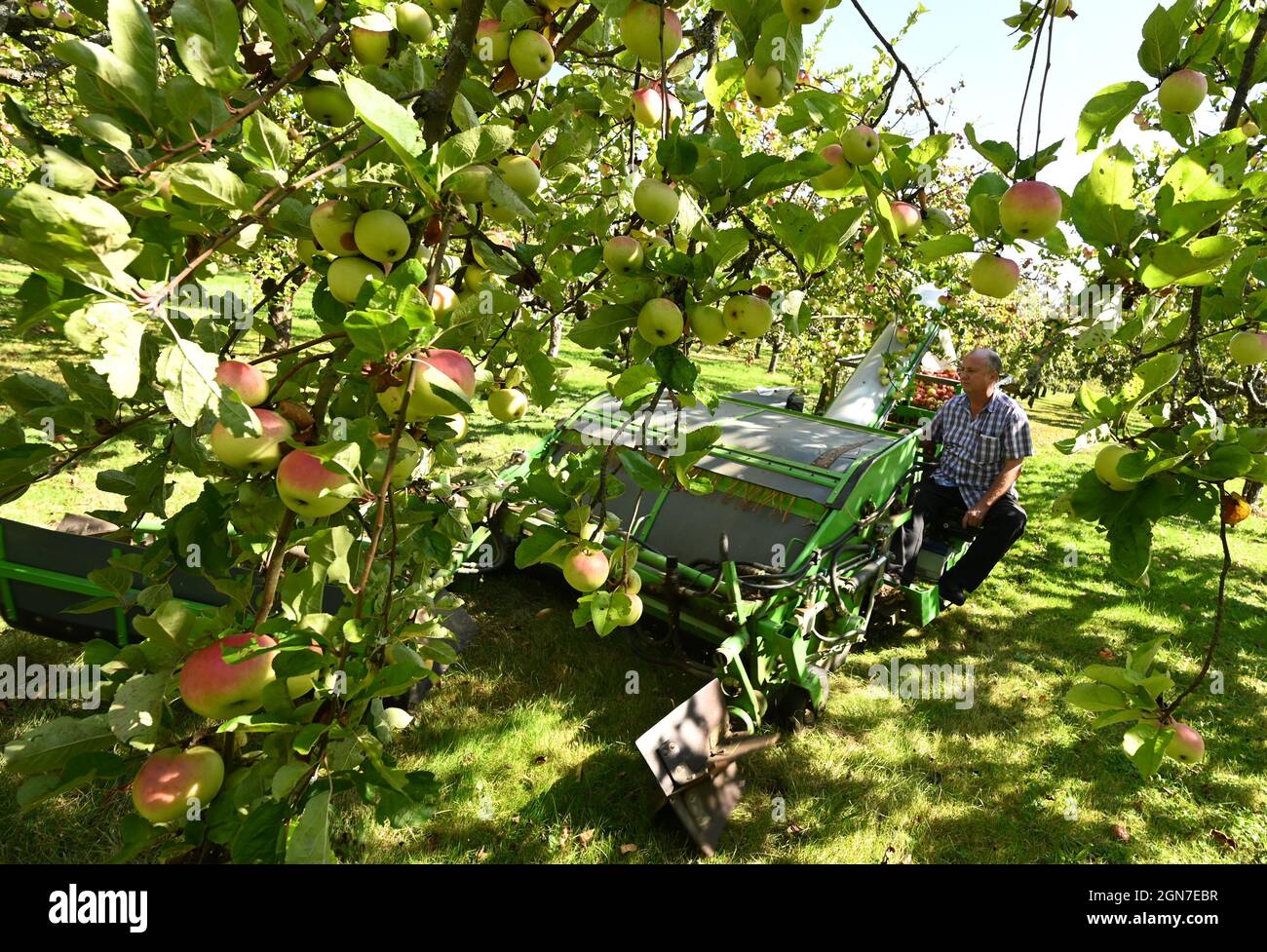 Apple harvesting machine hi-res stock photography and images - Alamy
