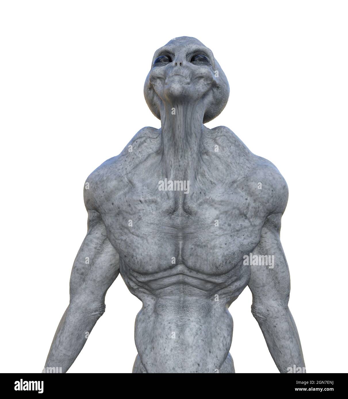3d illustration of a muscled grey alien with arms back while looking ...