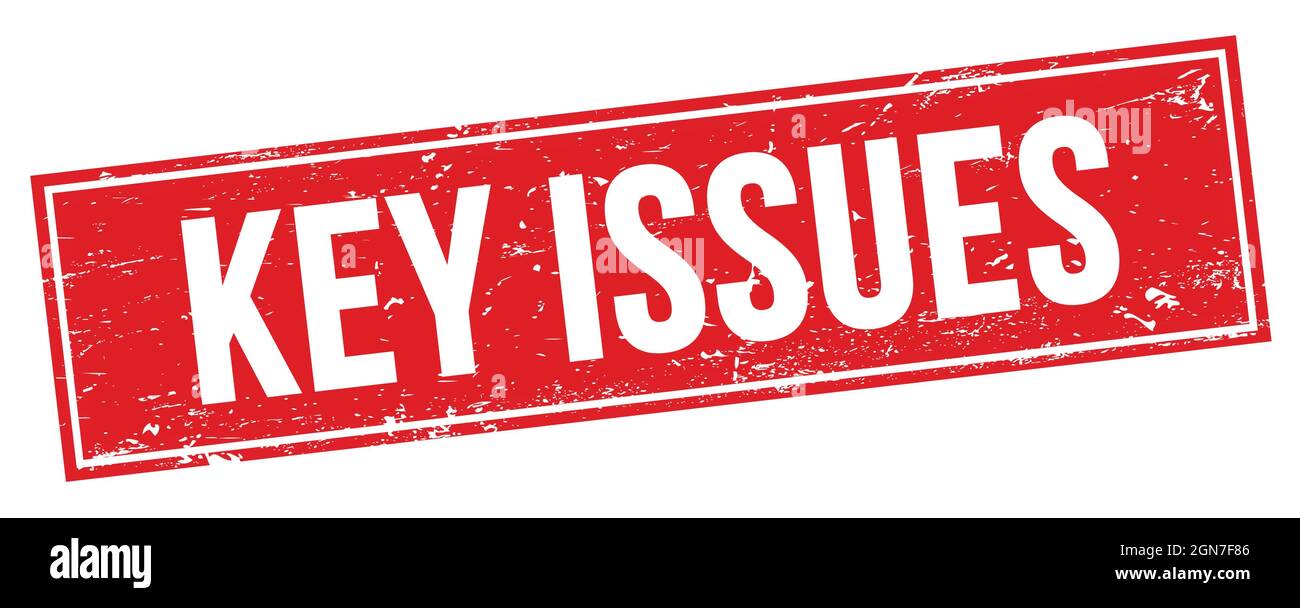 KEY ISSUES text on red grungy rectangle stamp sign Stock Photo - Alamy