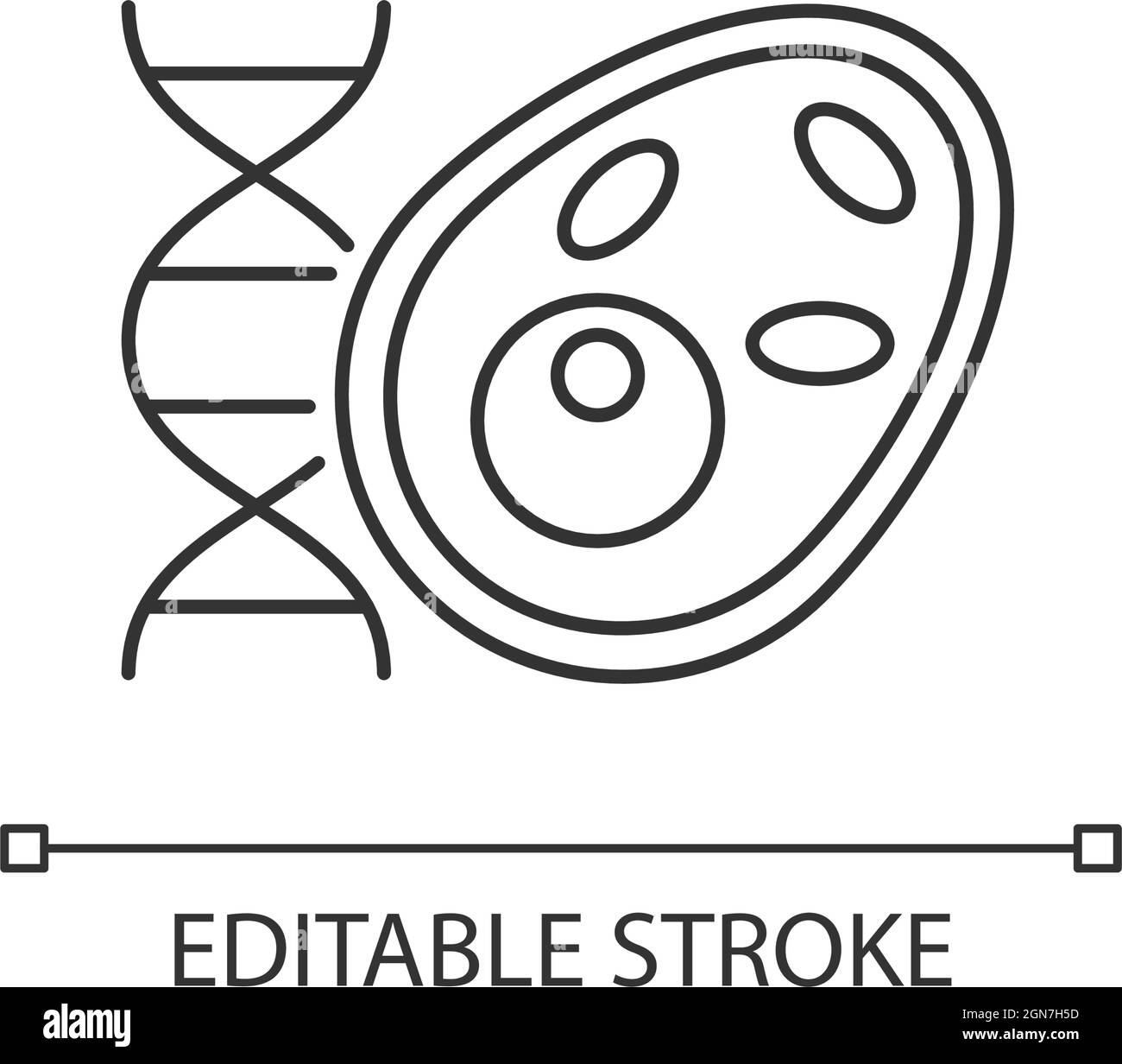 Biology linear icon Stock Vector Image & Art - Alamy