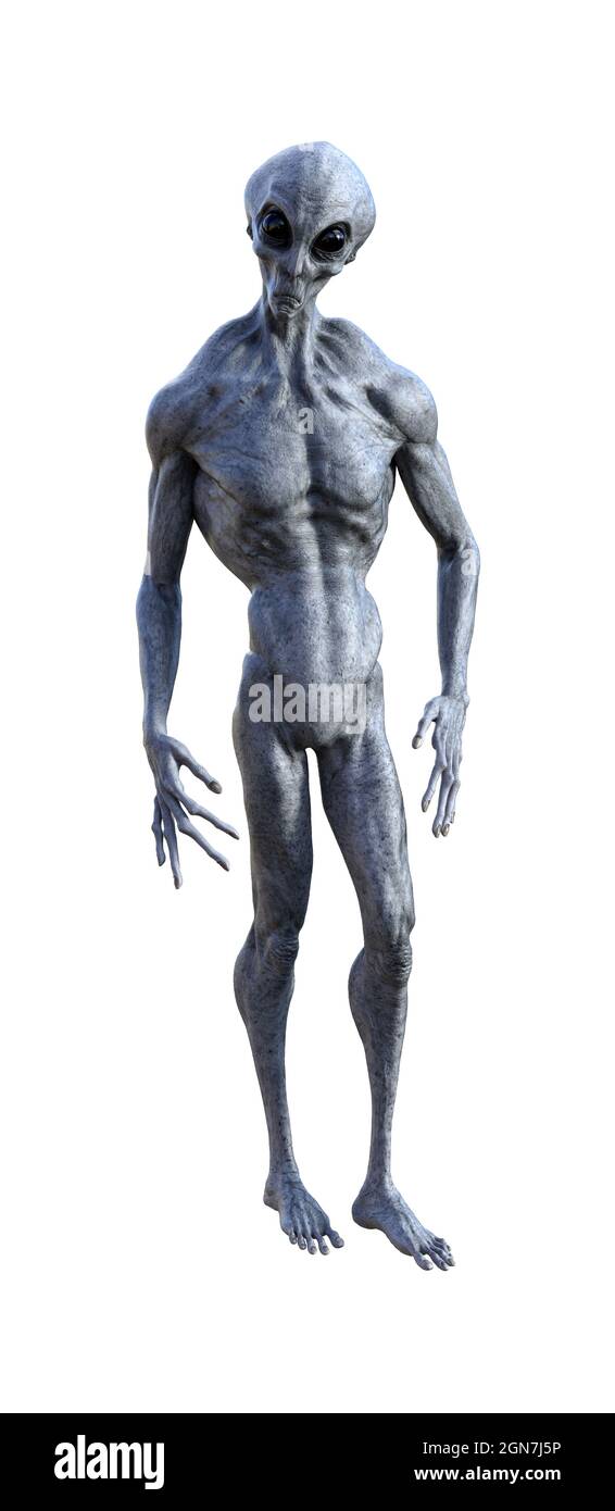 Grey Alien Full Body