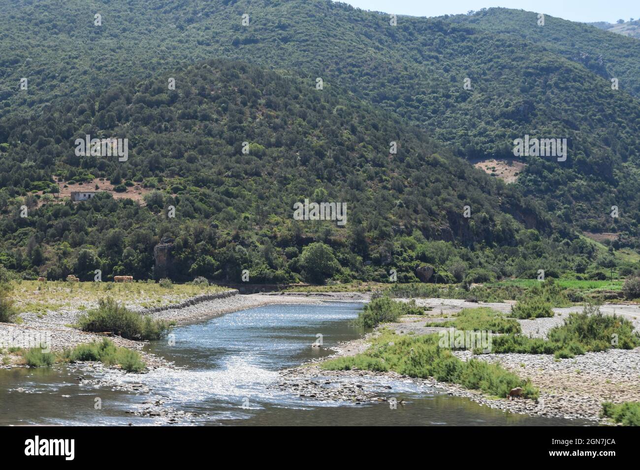 Resisting climate change hi-res stock photography and images - Alamy