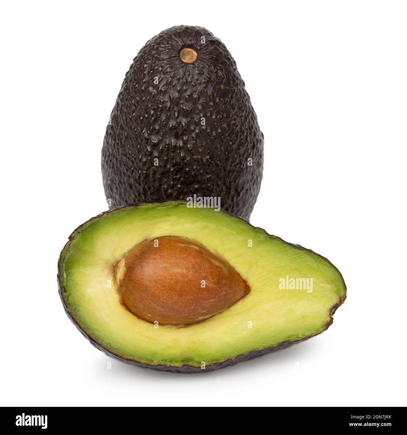 Hass avocado tree Cut Out Stock Images & Pictures - Alamy