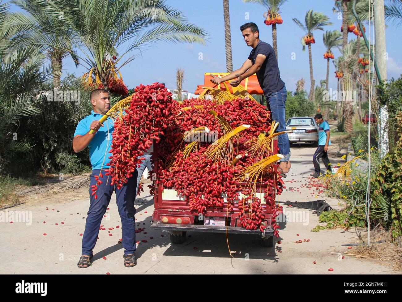 Dir al balah hi-res stock photography and images - Alamy