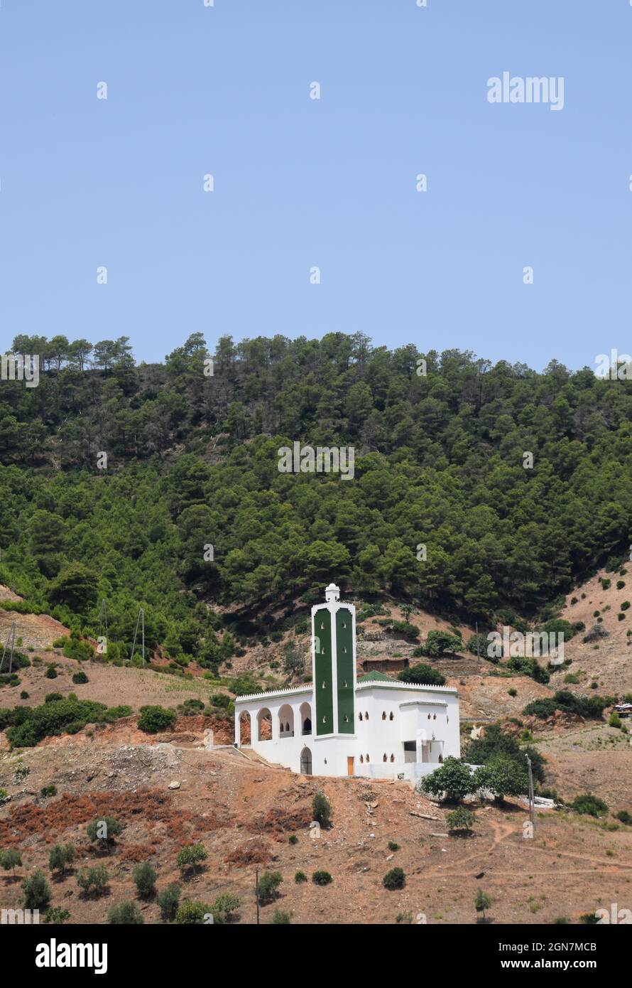 mosque in the forest Stock Photo - Alamy