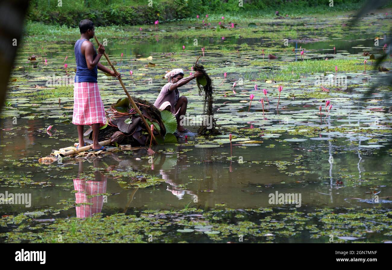 Cleanness drive hi-res stock photography and images - Alamy
