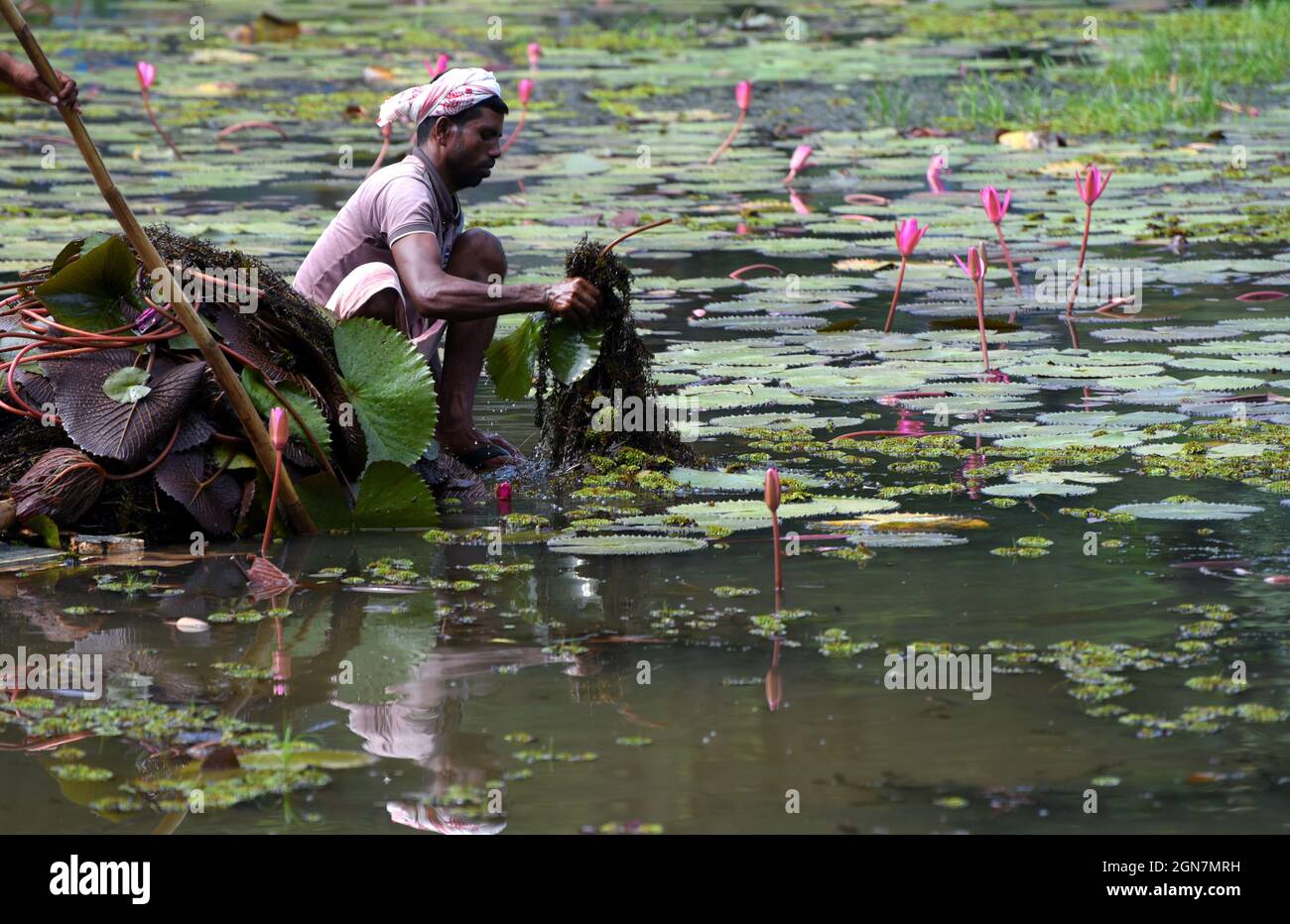 Daily life assam 2 jpg hi-res stock photography and images - Alamy