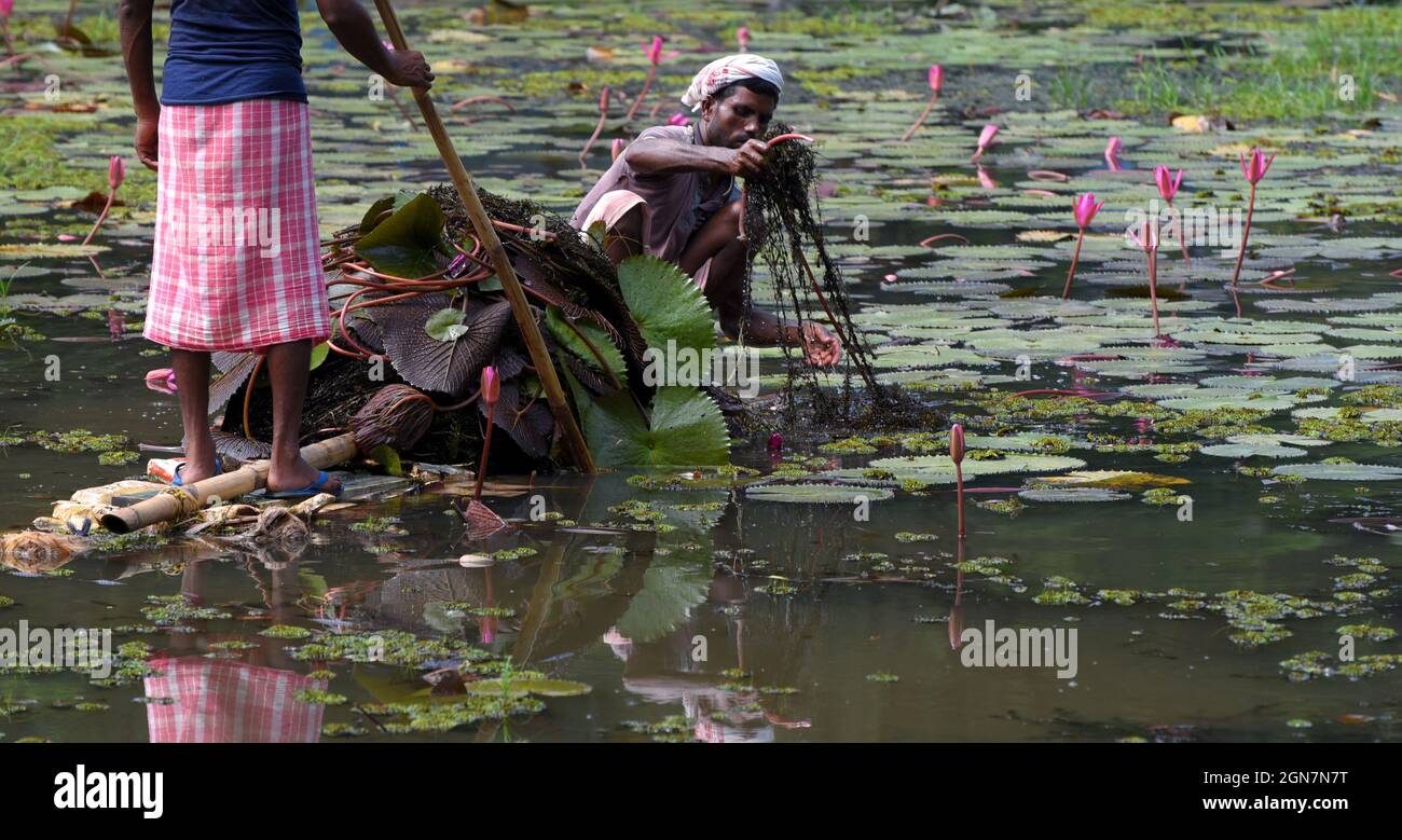 Daily life assam 4 jpg hi-res stock photography and images - Alamy