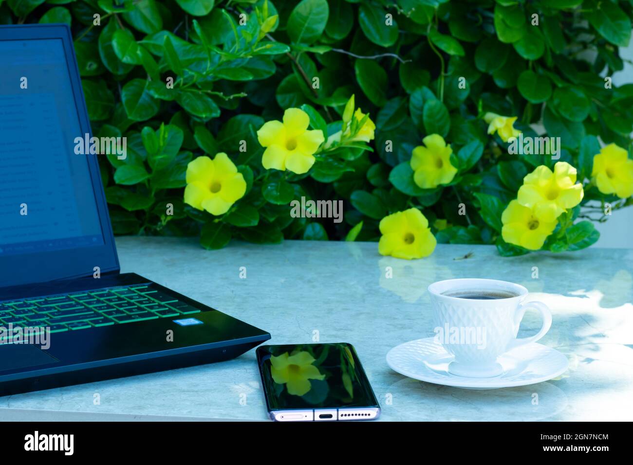Computer table plant flower hi-res stock photography and images - Alamy