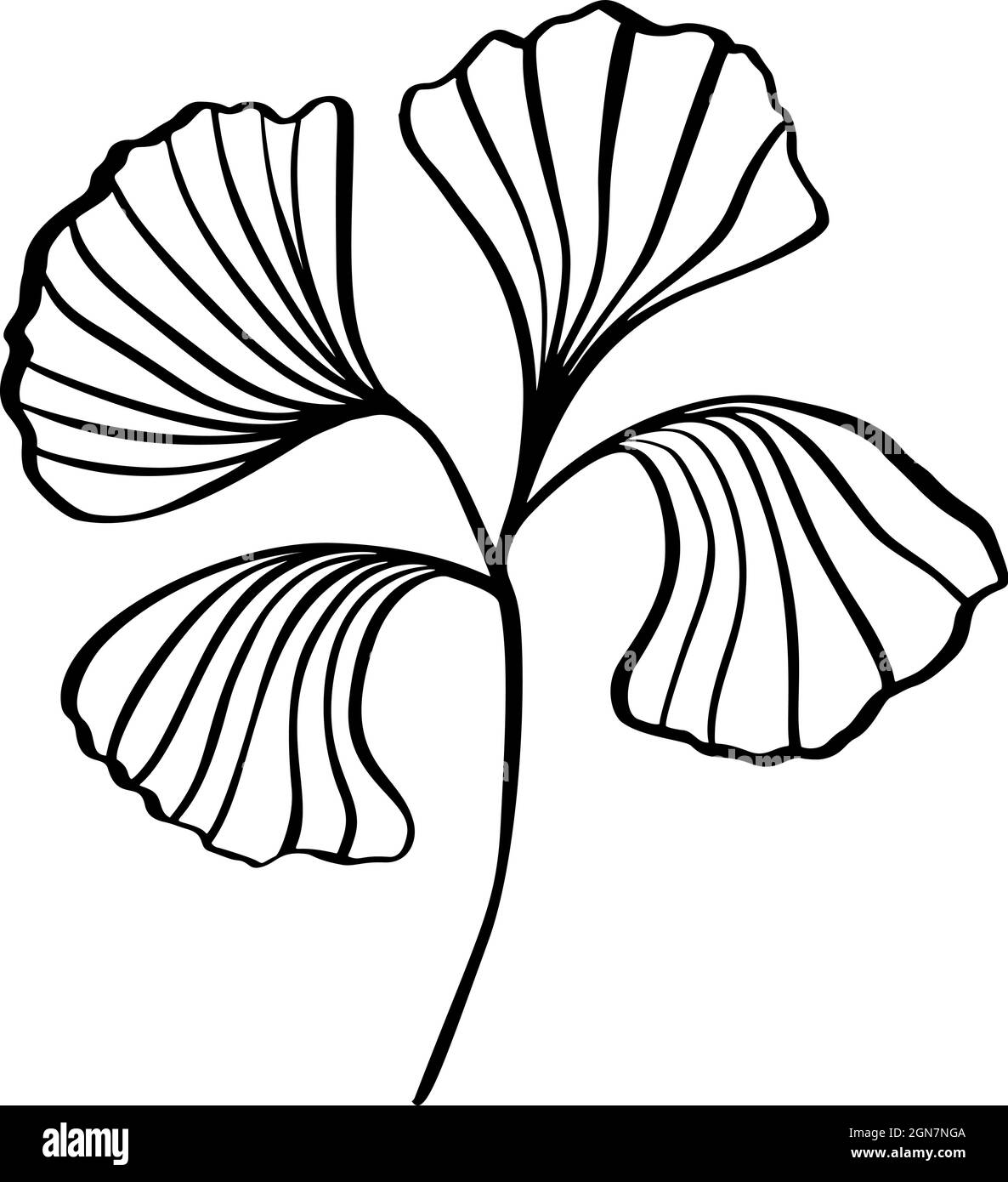 Ginkgo leaf hand draw vintage clip line art isolated on white ...