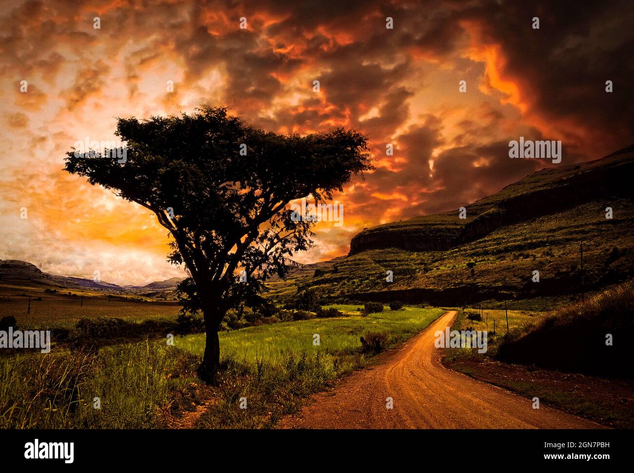 Albero africa hi-res stock photography and images - Alamy