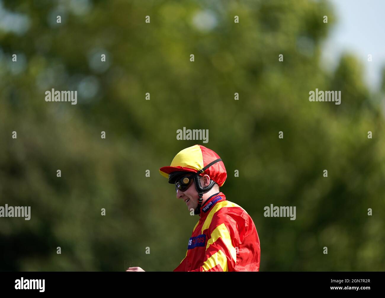 Gale force maya horse hi-res stock photography and images - Alamy