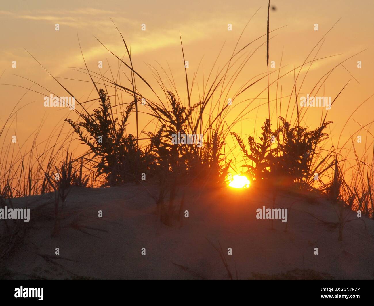 Assorted New Jersey shore images depicting beach scenes with sunrise ...