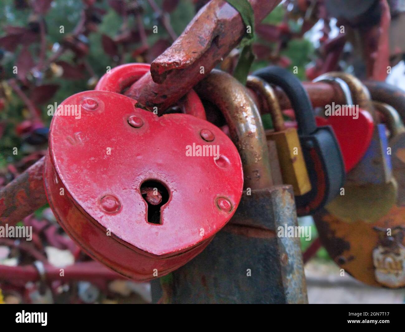 An old red heart shaped rusty wedding lock, concept of eternal love ...