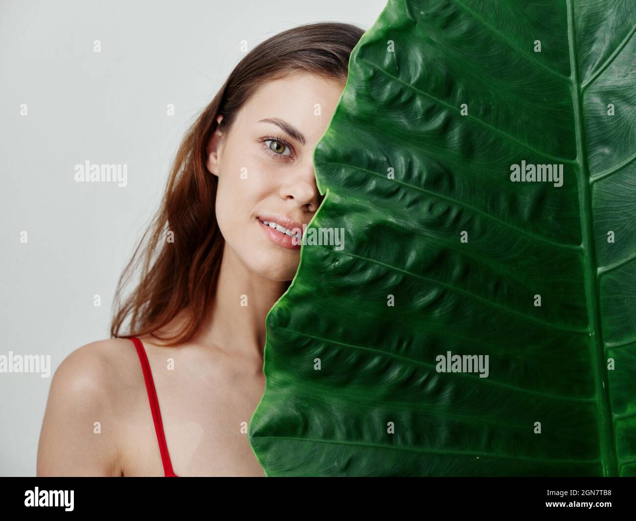Palm Leaf Covers High Resolution Stock Photography and Images - Alamy