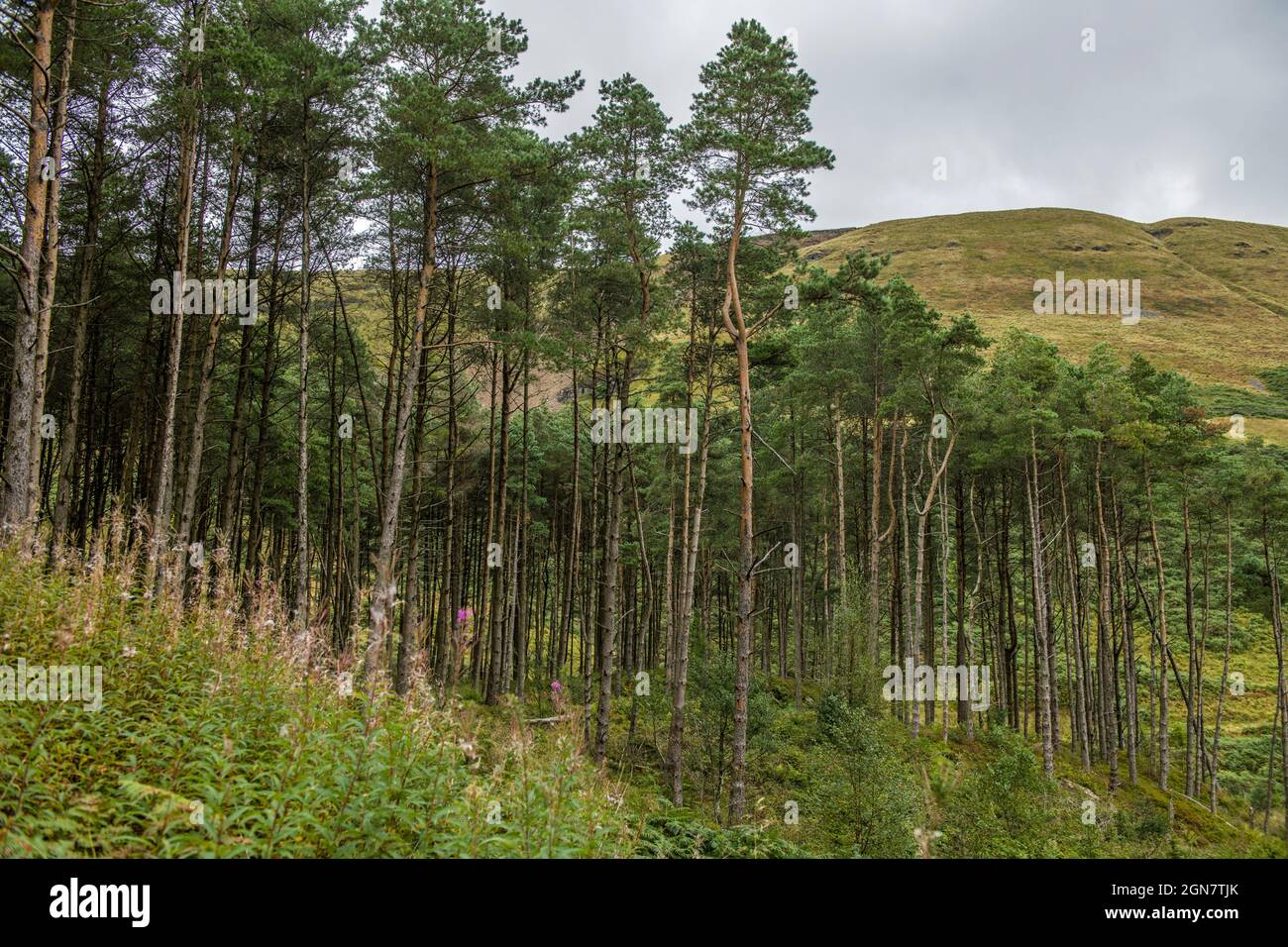 Garw colliery hi-res stock photography and images - Alamy