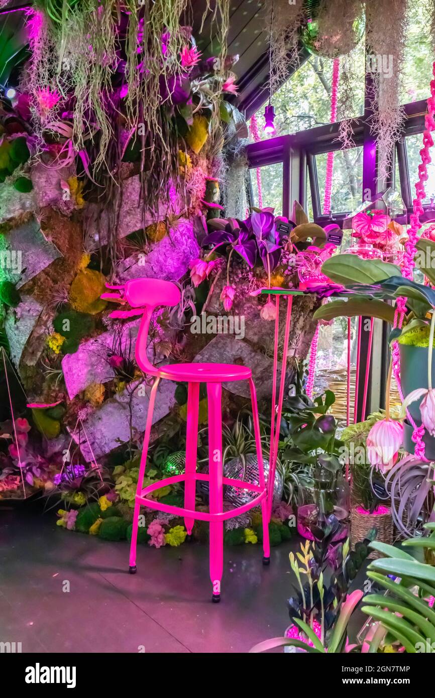 The Green Room awarded a Gold Medal at RHS Chelsea Flower Show, held in ...