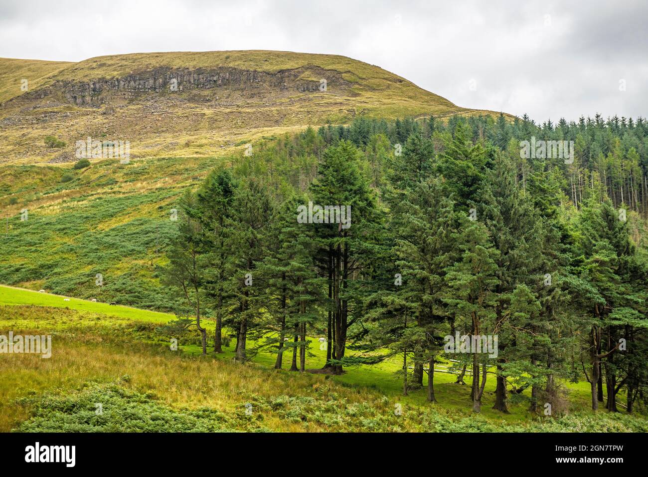 Garw valley landscape hi-res stock photography and images - Alamy
