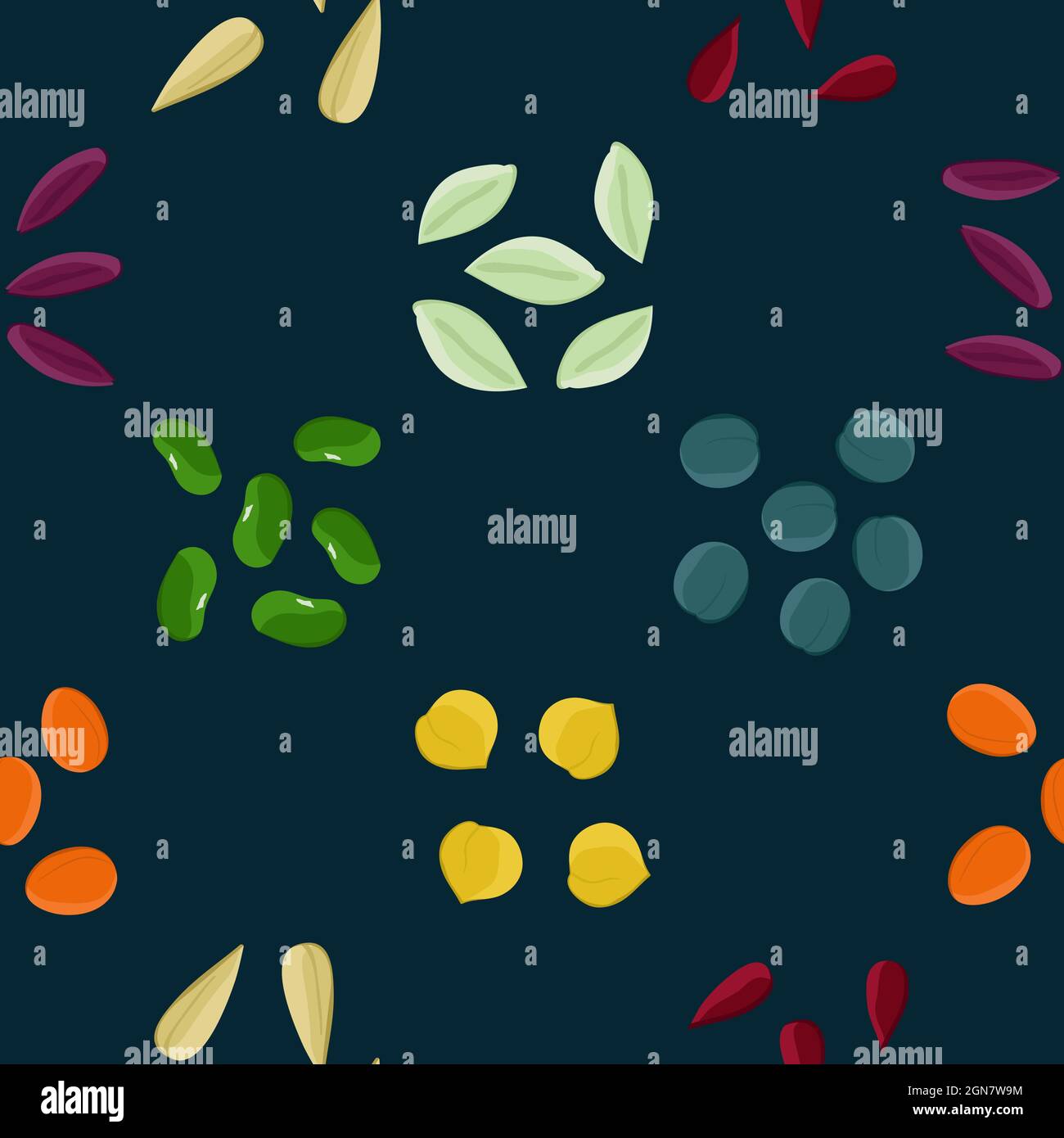 Various seeds - vector background Stock Vector Image & Art - Alamy