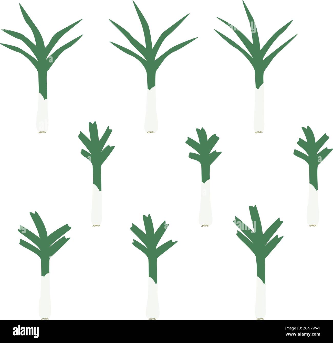 Set of leek - vector illustration Stock Vector Image & Art - Alamy