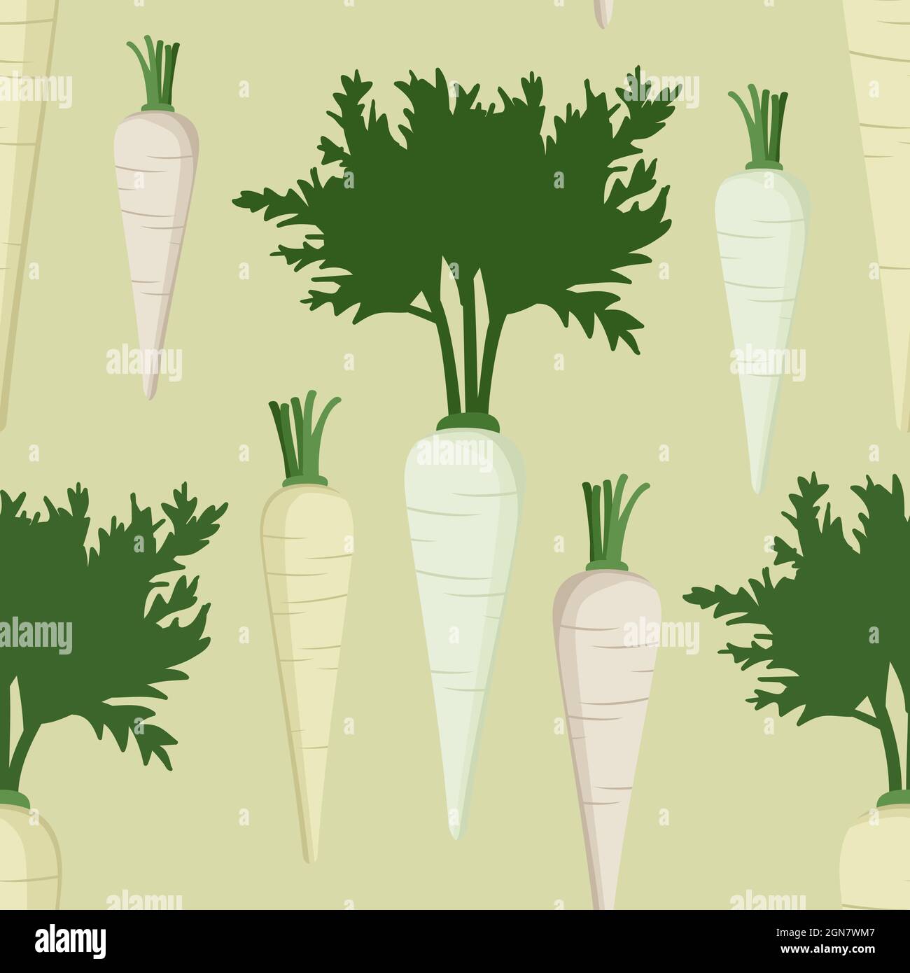 Root parsley - vector background Stock Vector Image & Art - Alamy