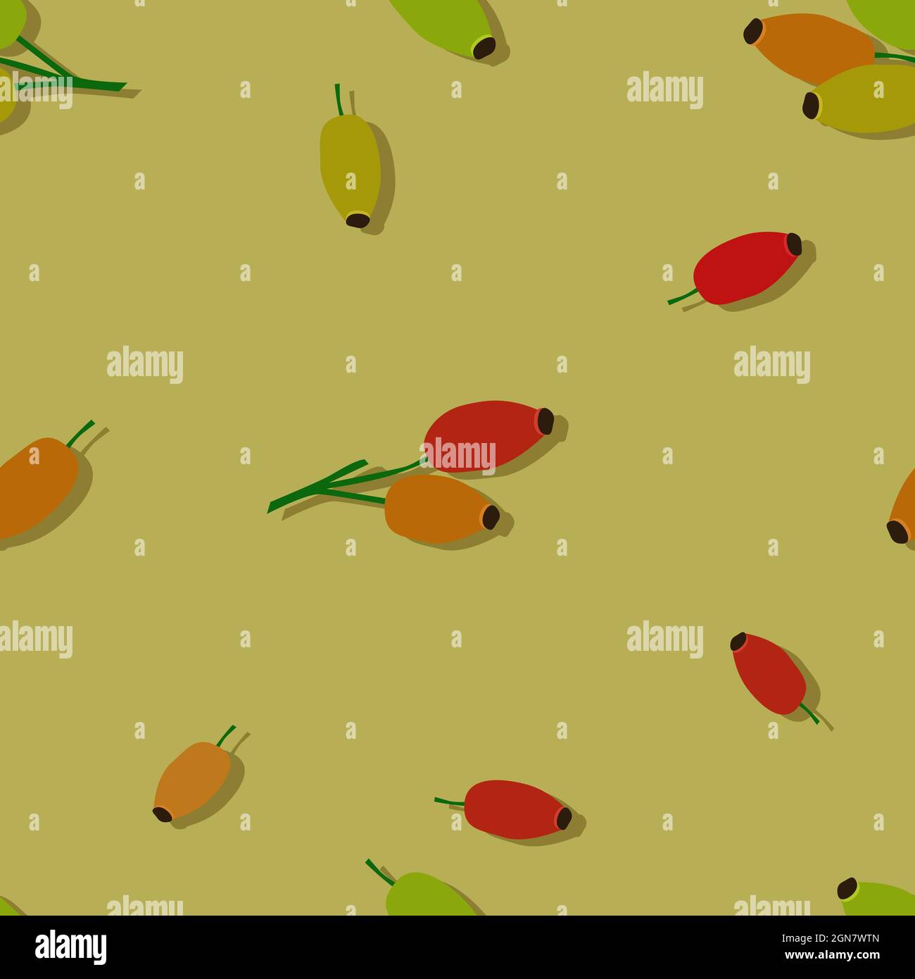 Rose hips - vector background Stock Vector Image & Art - Alamy