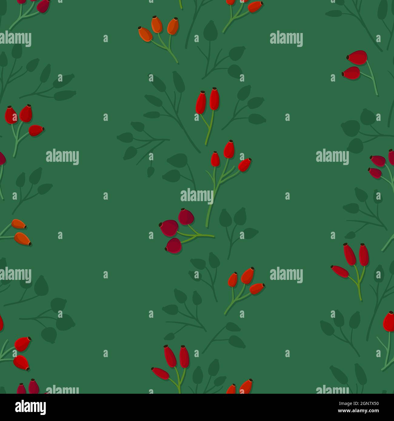 Rose hips - vector background Stock Vector Image & Art - Alamy
