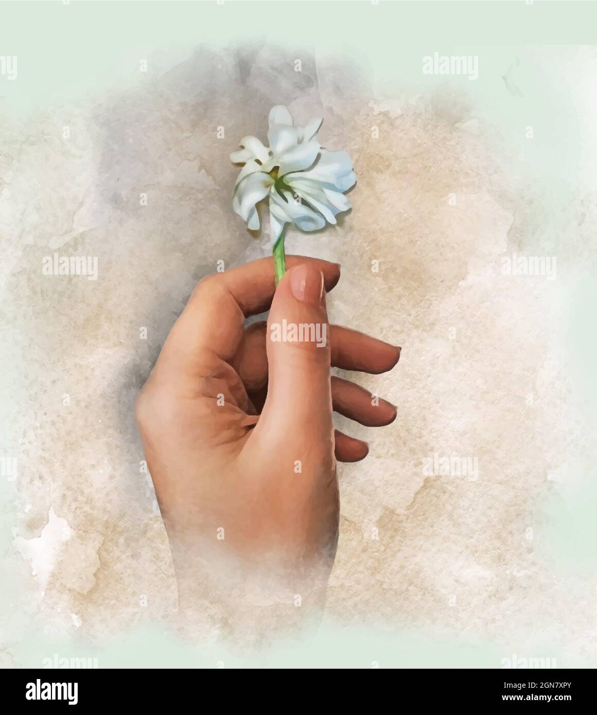 watercolor drawing, hand holding a white flower. Vector illustration ...
