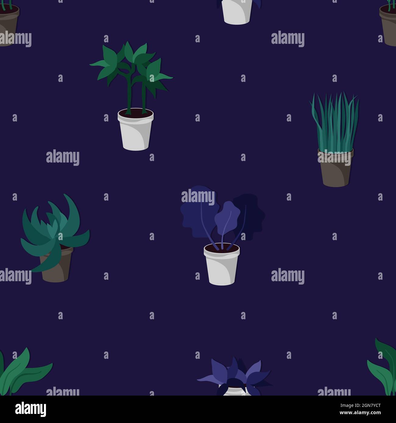 Potted houseplants - vector background Stock Vector Image & Art - Alamy