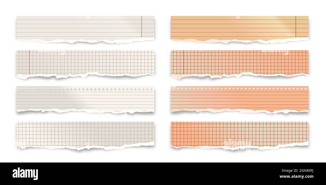 Ripped paper strips isolated on white background. Realistic crumpled ...